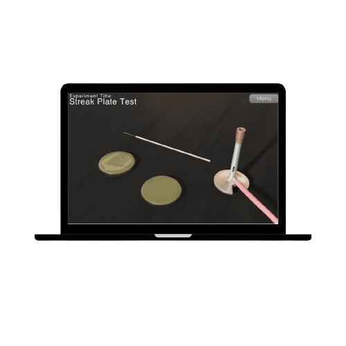Virtual Interactive Bacteriology Laboratory